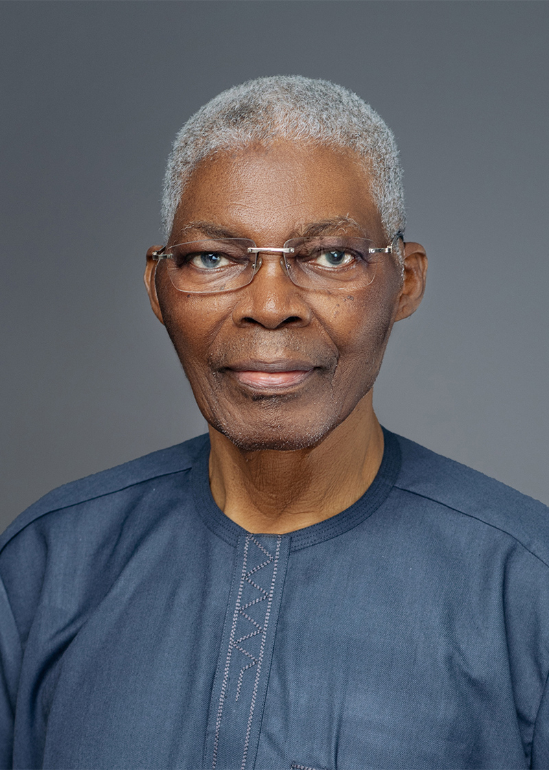 Prof O.S Adegoke - Platform Petroleum